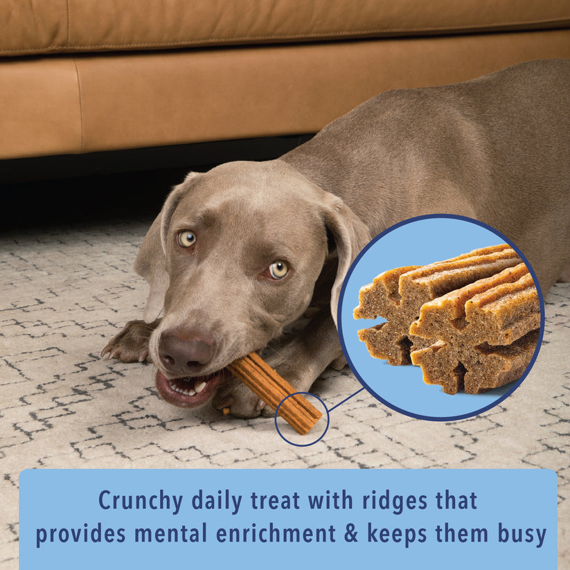 Angels' Eyes Sea Sticks Multi-Benefit Treat – Angels Eyes Online