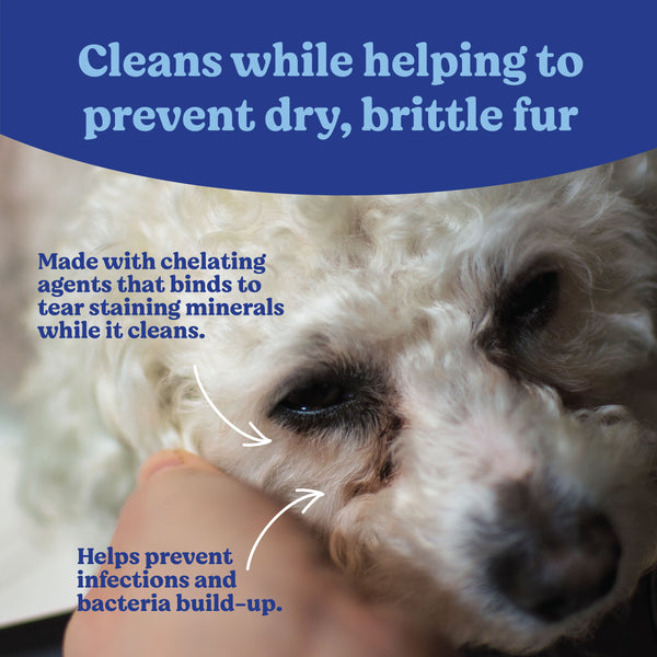 Angels' Eyes Gentle Tear Stain Wipes 100ct for Dogs and Cats – Angels ...