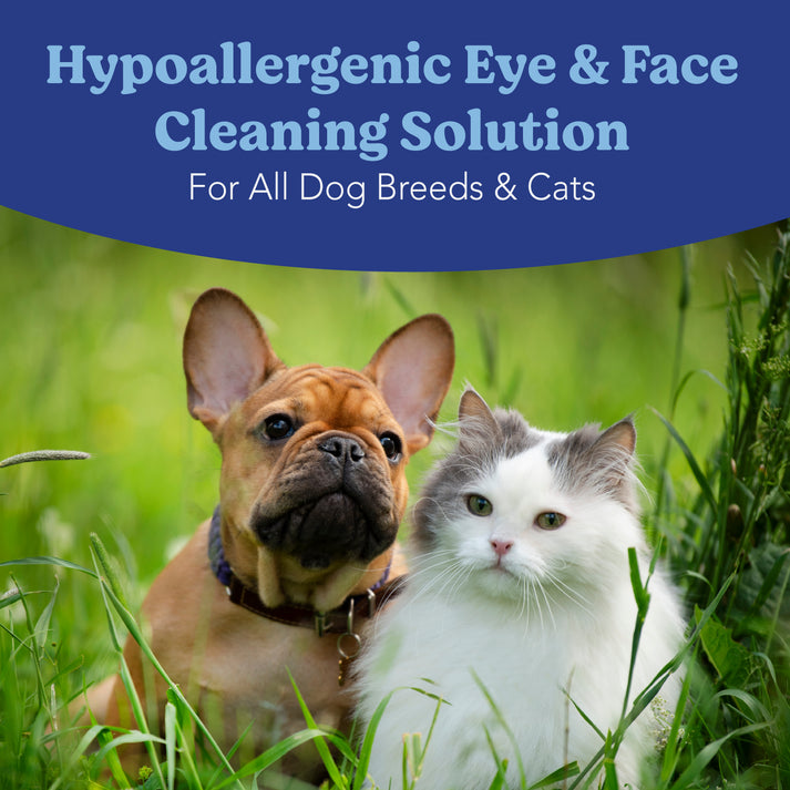 Angels' Eyes Gentle Tear Stain Wipes 100ct for Dogs and Cats – Angels ...