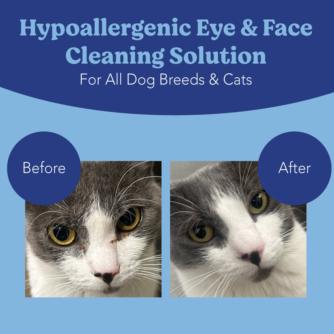 Angels' Eyes Gentle Tear Stain Wipes 100ct for Dogs and Cats – Angels ...